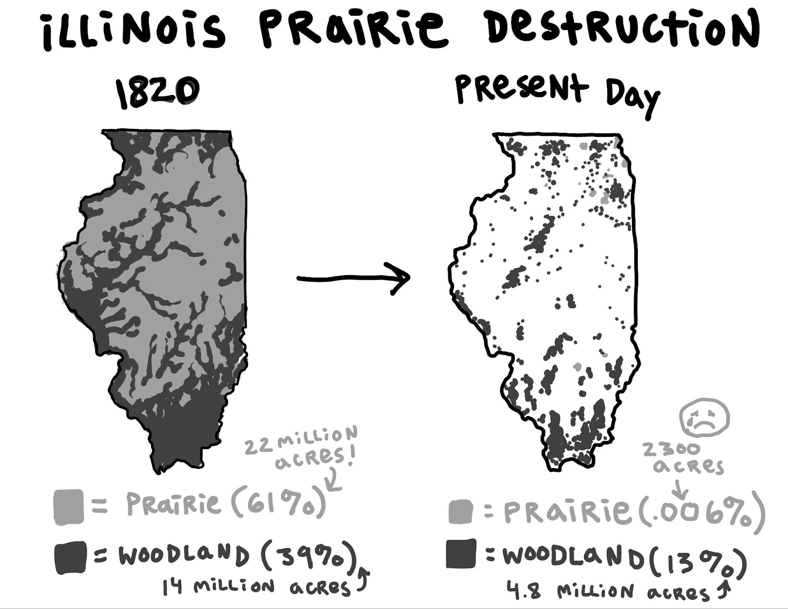 Our Ecological Past, Present, and Future – Prairies Over Lawns